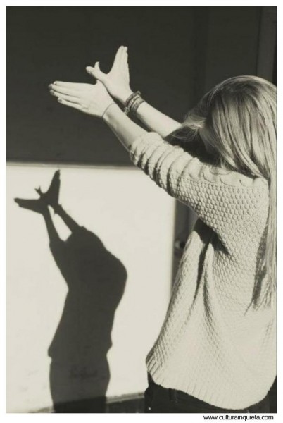 HAND SHADOWS | highlike