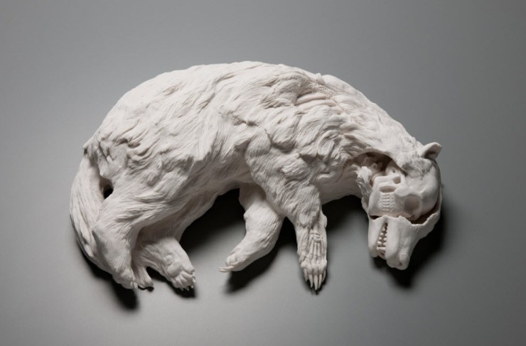 KATE MACDOWELL | highlike