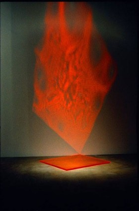 PAE WHITE – highlike