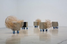 KYLA HANSEN – highlike