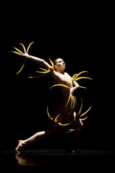 COMPAGNIE MARIE CHOUINARD – highlike