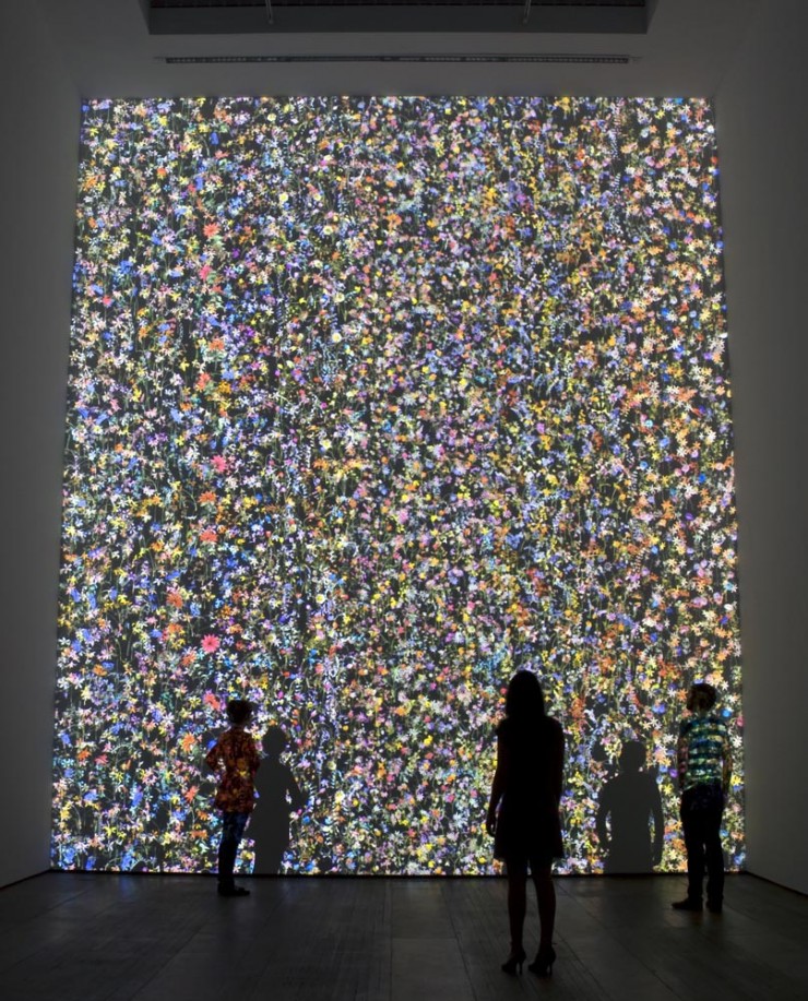 Jennifer Steinkamp | highlike