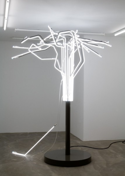 Daniel Firman – highlike