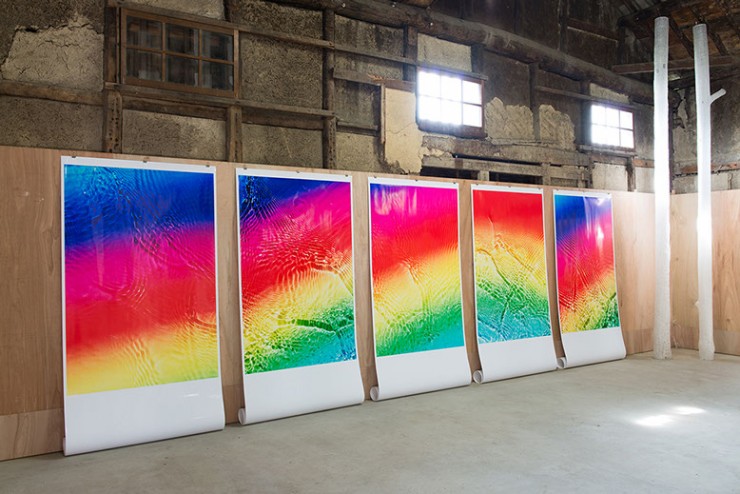 TAISUKE KOYAMA | highlike