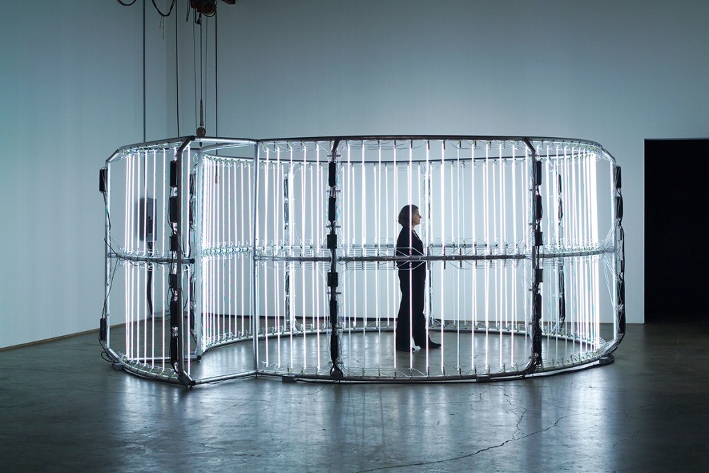 Carsten Höller – highlike