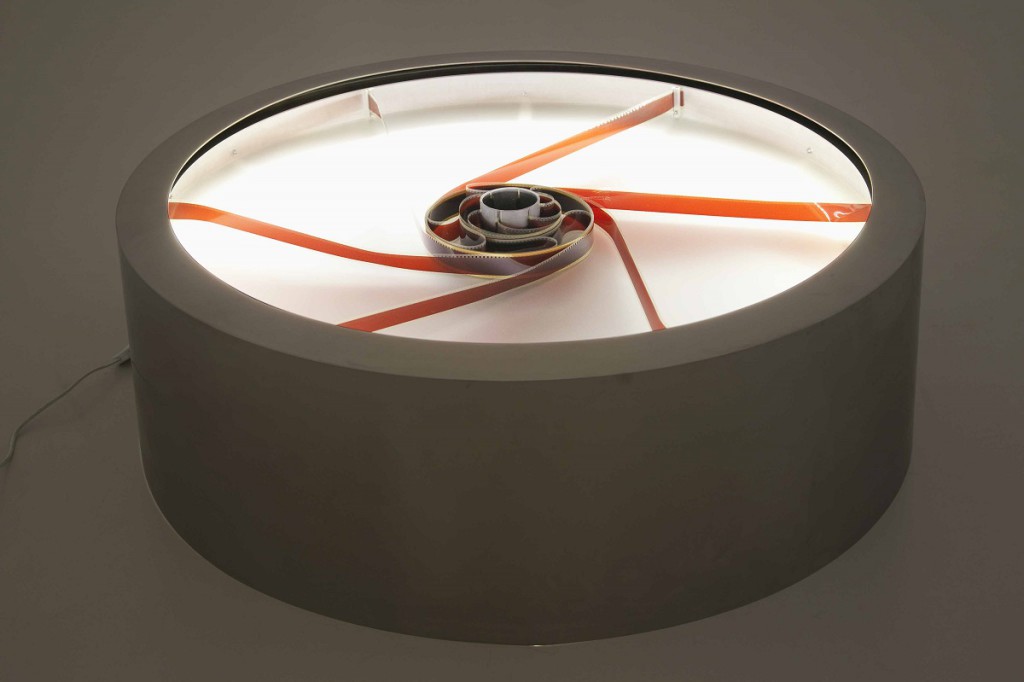 ROSA BARBA – highlike