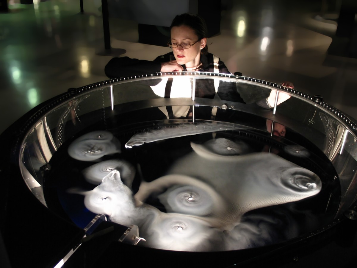 Shawn Lani | highlike