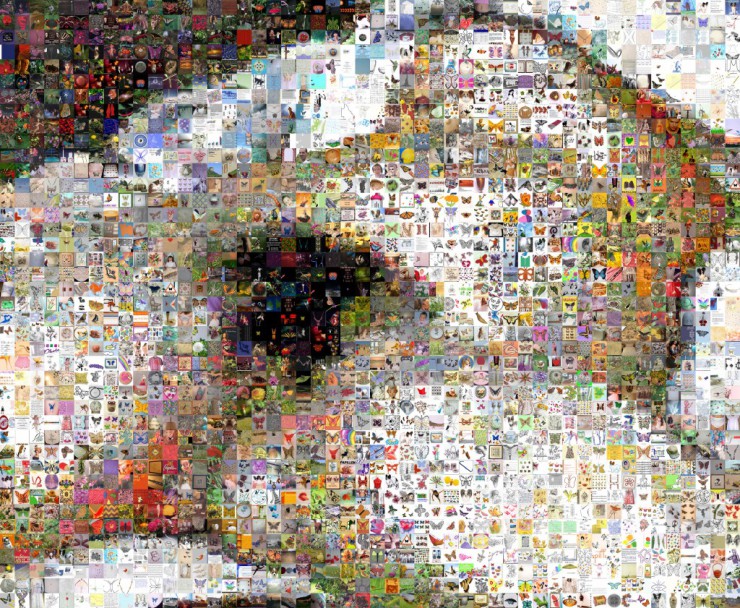 REYNALD DROUHIN – highlike