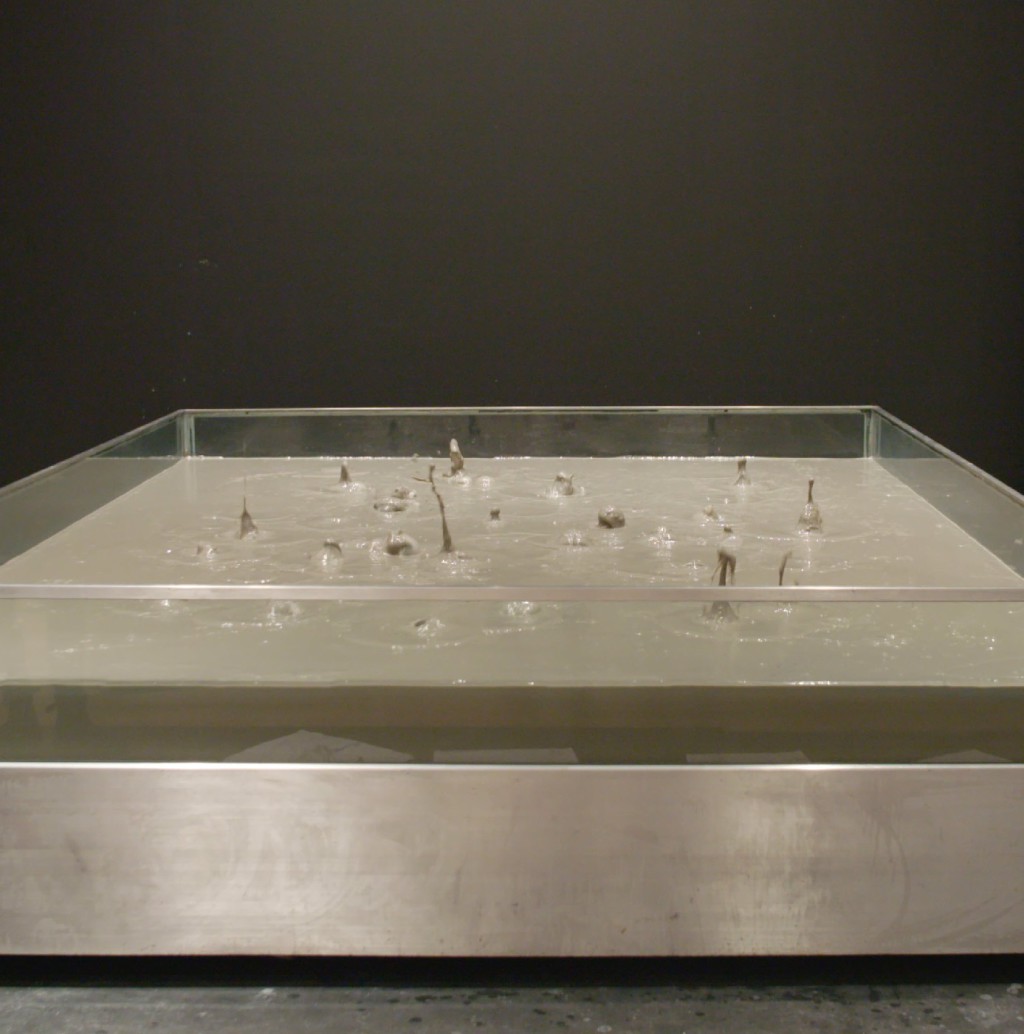 Robert Rauschenberg – highlike