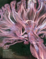 Greg Dunn and Brian Edward – highlike