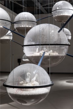 ALEXANDRA BELLISSIMO – highlike