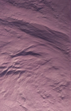 David Bowen – highlike