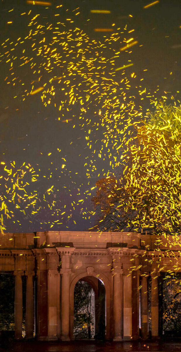 Studio Roosegaarde – highlike